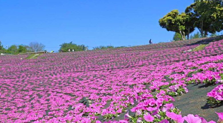 MOTHER FARM | 【CHIBA FUTTSU・Dude ranch】